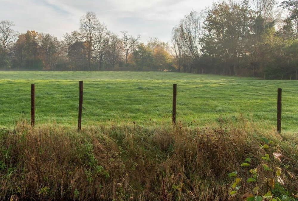 Startschot voor nieuw bos in Oude Bareel: leerlingen planten 400 bomen ...