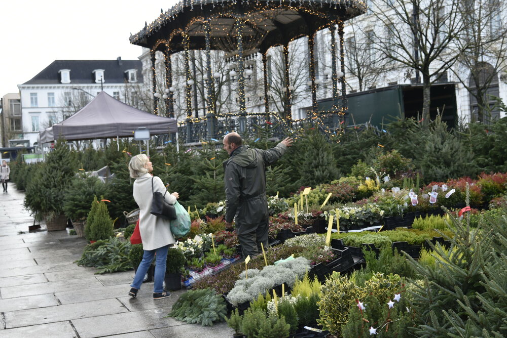 Kerstboomverkoop op Kouter krijgt reuzenkerstbal als blikvanger | Stad ...