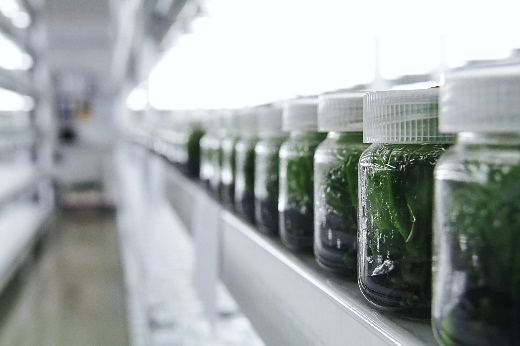 Microflor attracts partner to accelerate growth | Oaklins Netherlands ...