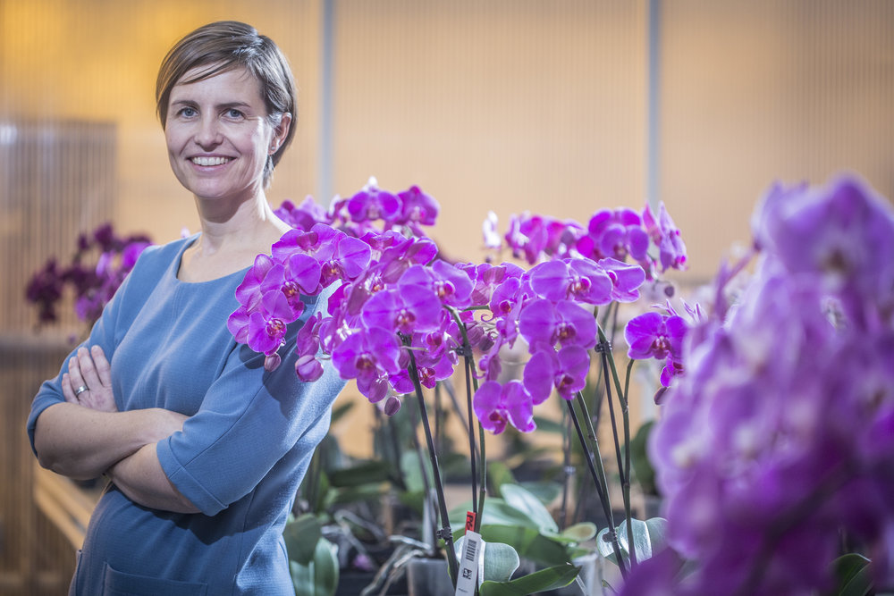 Microflor attracts partner to accelerate growth | Oaklins Netherlands ...