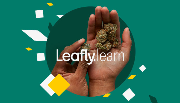 Leafly Announces Leafly Learn, an Online Education Platform for ...