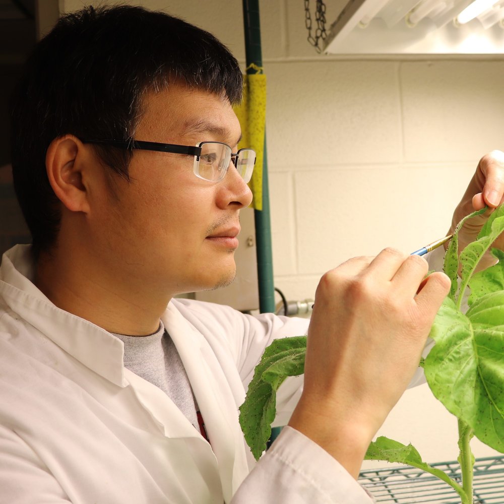 Controlling insect pests by targeting genes acquired from other species ...