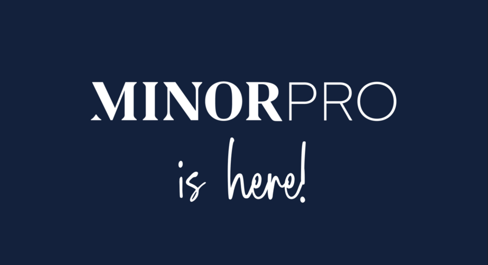 Minor Hotels lanza Minor Pro, una plataforma comercial todo en uno para ...