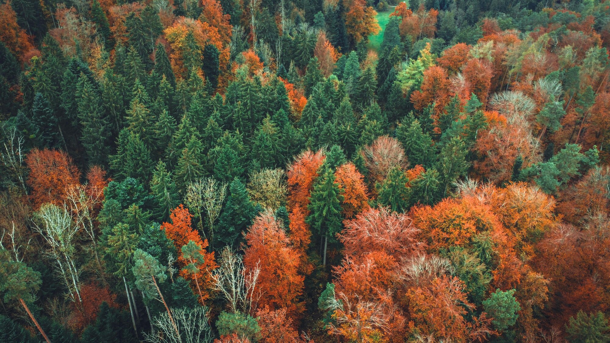 The Earth Prize in the news | The Earth Prize Newsroom